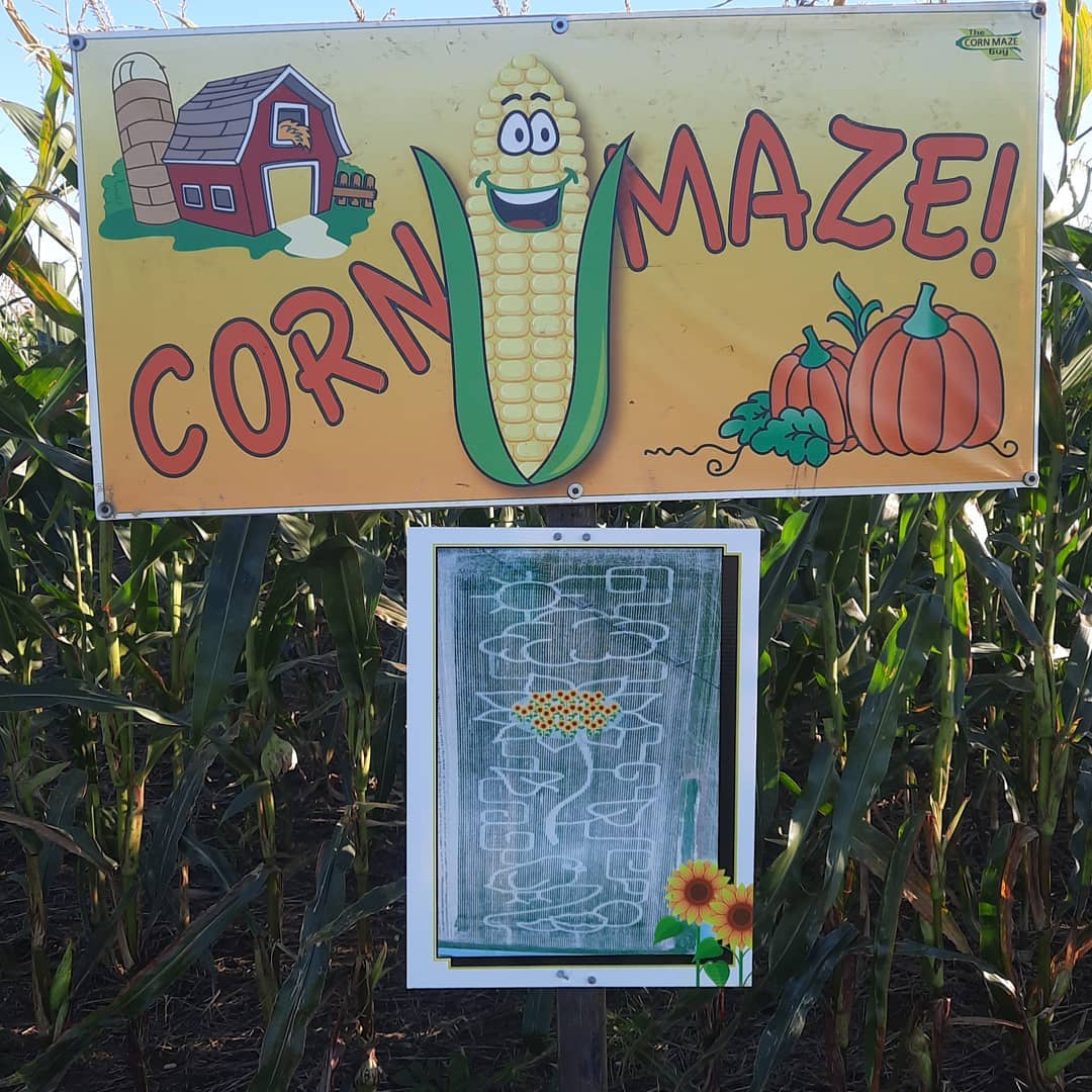 Barnyard Fun: Join Our Farm Experiences - COOMBS BARNYARD