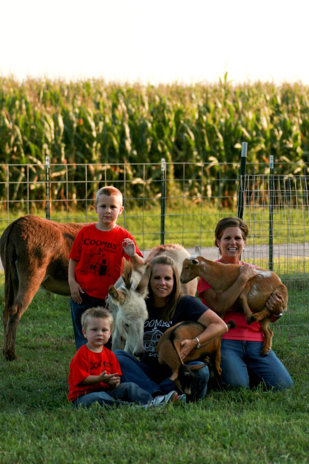 About Us: Coombs Barnyard's Family Farm - COOMBS BARNYARD