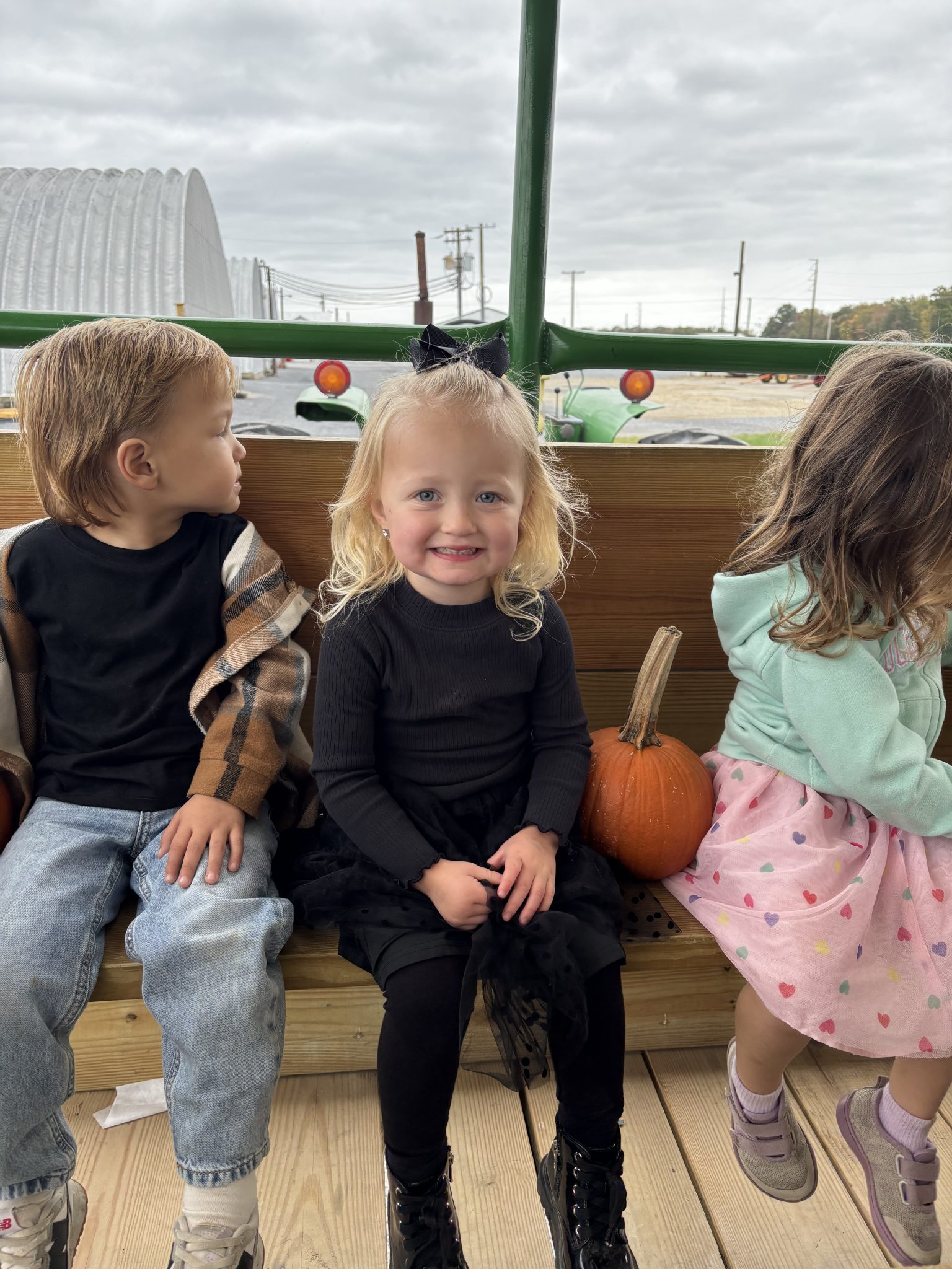 Barnyard Fun: Join Our Farm Experiences - COOMBS BARNYARD